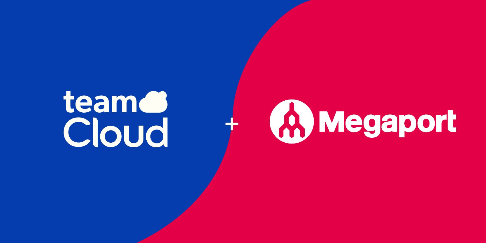 Celebrating Our New Partnership with Megaport!